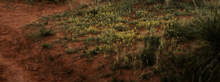 OXY 2014 Case Study | Flexpipe